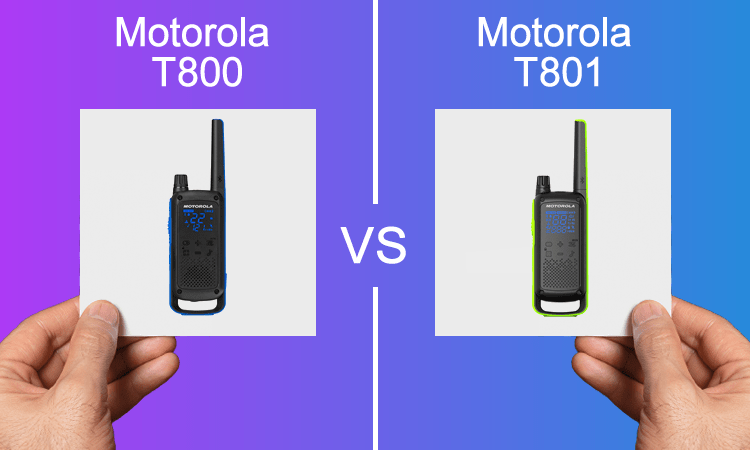Motorola T800 vs T801 - Which one should you buy?